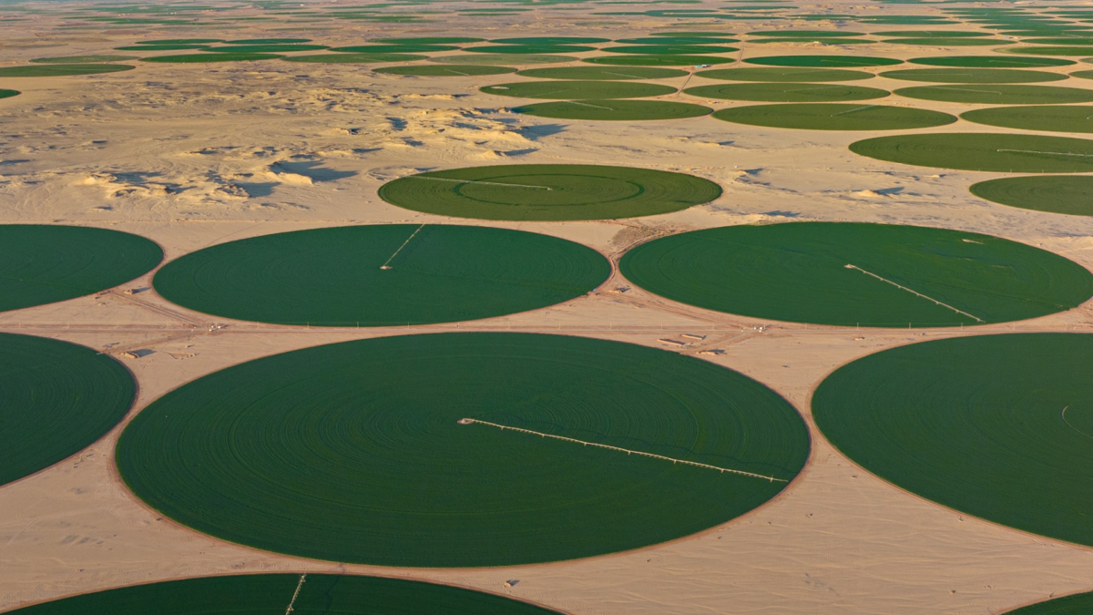 About Al Dahra – Al Dahra