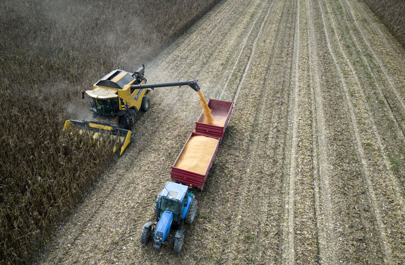 Work with Us – Al Dahra